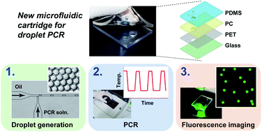 Convenient microfluidic cartridge for single-molecule droplet PCR using ...