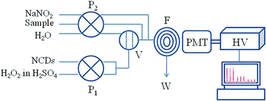 A nitrogen doped carbon dots-enhanced peroxynitrous acid ...