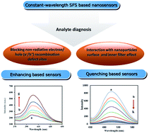 Using constant-wavelength synchronous fluorescence spectroscopy in ...