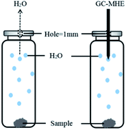 Determination of water content in municipal sludge by multiple ...