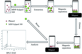 Surfactant-functionalised magnetic ferum oxide coupled with high ...