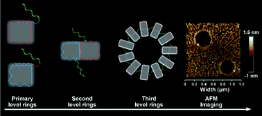 The hierarchical assembly of a multi-level DNA ring-based nanostructure ...