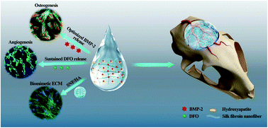 Injectable hydrogel systems with multiple biophysical and biochemical ...
