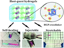 A super-stretchable, self-healing and injectable supramolecular hydrogel constructed by a host ...