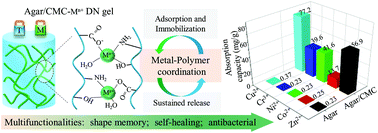 A multifunctional metal-biopolymer coordinated double network hydrogel combined with multi ...