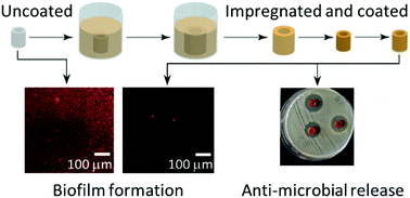 Development of dual anti-biofilm and anti-bacterial medical devices ...