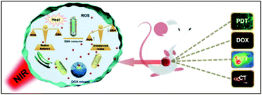 Disrupted intracellular redox balance with enhanced ROS generation and ...