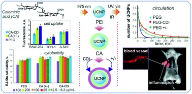 A versatile platform for bioimaging based on colominic acid-decorated ...