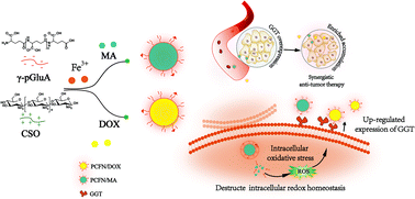 Poly-γ-glutamic acid derived nanopolyplexes for up-regulation of gamma ...