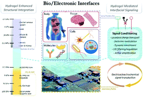 Hydrogel facilitated bioelectronic integration - Biomaterials Science ...