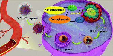 Responsiveness Biology