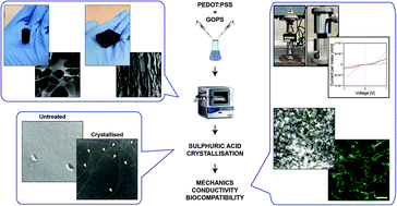Structural crystallisation of crosslinked 3D PEDOT:PSS anisotropic ...