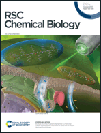 Inside front cover - RSC Chemical Biology (RSC Publishing)