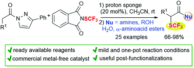 Formal α-trifluoromethylthiolation of carboxylic acid derivatives via N ...