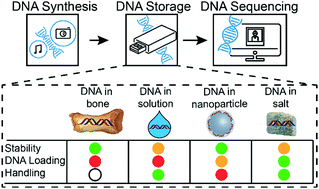 Stabilizing synthetic DNA for long-term data storage with earth ...