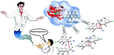 Chemoenzymatic, biomimetic total synthesis of (−)-rugulosin B, C and ...