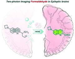 Formaldehyde Brain
