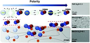 Solvent-driven migration of highly polar monomers into hydrophobic PDMS ...