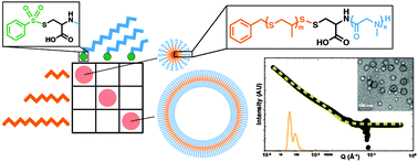 Mapping the supramolecular assembly space of poly(sarcosine)-b-poly ...