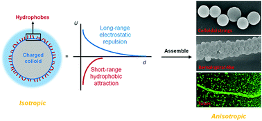 Self-assembly of isotropic colloids into colloidal strings, Bernal ...