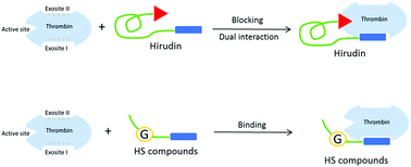 Design and synthesis of glyco-peptides as anti-cancer agents targeting ...