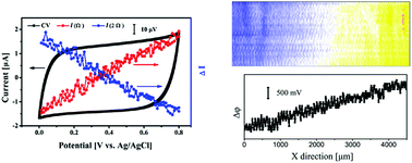 Optical imaging of the potential distribution at transparent electrode ...