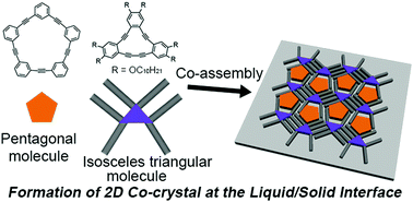 Trapping a pentagonal molecule in a self-assembled molecular network ...