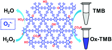 Graphdiyne oxide: a new carbon nanozyme - Chemical Communications (RSC ...