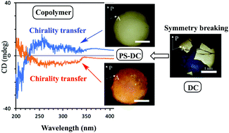 The formation of a chiral supramolecular structure acting as a template ...