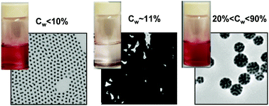 Colloidal stability of nanoparticles stabilized with mixed ligands in ...