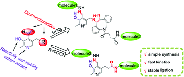 Bifunctional pyridoxal derivatives as efficient bioorthogonal reagents ...