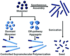 Controlled supramolecular polymerization of π-systems - Chemical ...