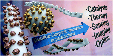 Self-assembled peptide–inorganic nanoparticle superstructures: from ...