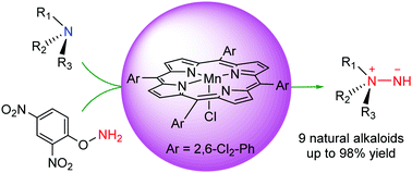 Direct preparation of unprotected aminimides (R3N+–NH−) from natural ...