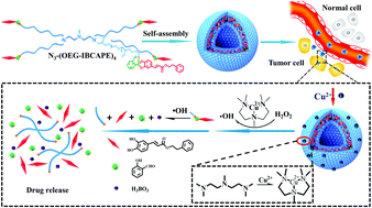 Therapeutic iminoboronate-based polymersomes with a Cu(ii)-mediated ...