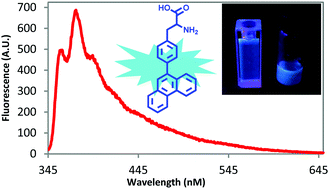 Facile synthesis of a novel genetically encodable fluorescent α-amino ...