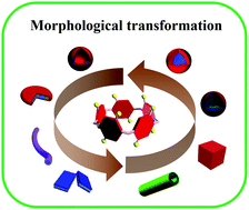 Morphology transformation of pillararene-based supramolecular ...