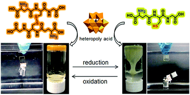 Heteropoly acid-driven assembly of glutathione into redox-responsive ...
