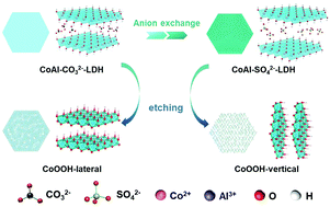 Anion-dependent topochemical conversion of CoAl-LDH microplates to ...