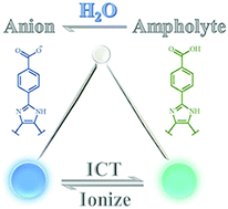 Intramolecular charge transfer ampholytes with water-induced pendulum ...