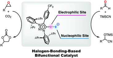 Lewis acid–base synergistic catalysis of cationic halogen-bonding ...