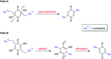 Reaction of 2,5-dihydroxy-[1,4]-benzoquinone with nucleophiles – ipso ...
