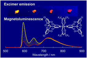Excimer emission and magnetoluminescence of radical-based zinc(ii ...