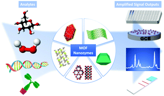 Metal–organic framework based nanozymes: promising materials for ...