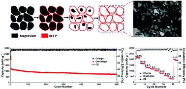 Kirkendall effect modulated hollow red phosphorus nanospheres for high ...