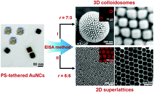 Self-assembly of gold nanocubes into three-dimensional hollow ...