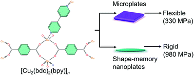 Mechanical rigidity of a shape-memory metal–organic framework increases ...