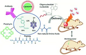A periodic development of BPA and BSH based derivatives in boron neutron capture therapy (BNCT ...