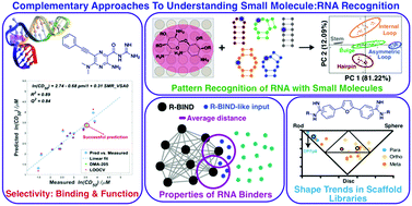 Small molecule–RNA targeting: starting with the fundamentals - Chemical ...