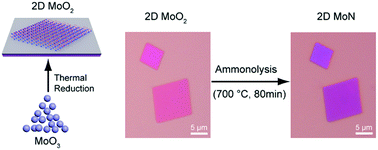 Nonlayered 2D ultrathin molybdenum nitride synthesized through the ...